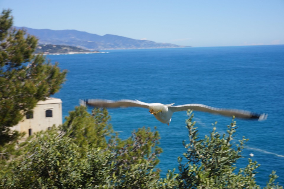 Sea Maritime Alps - Free photo on Pixabay - Pixabay