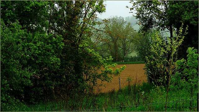 Countryside Nature Greenery - Free photo on Pixabay - Pixabay