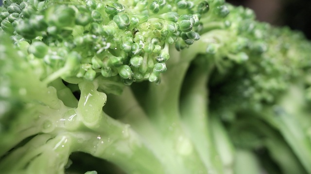Broccoli Food Vegetable - Free photo on Pixabay - Pixabay
