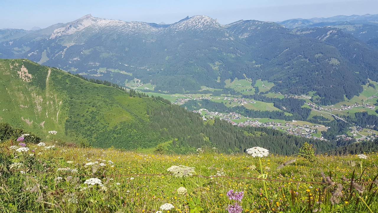Prairie Fleurie Montagnes - Photo gratuite sur Pixabay - Pixabay