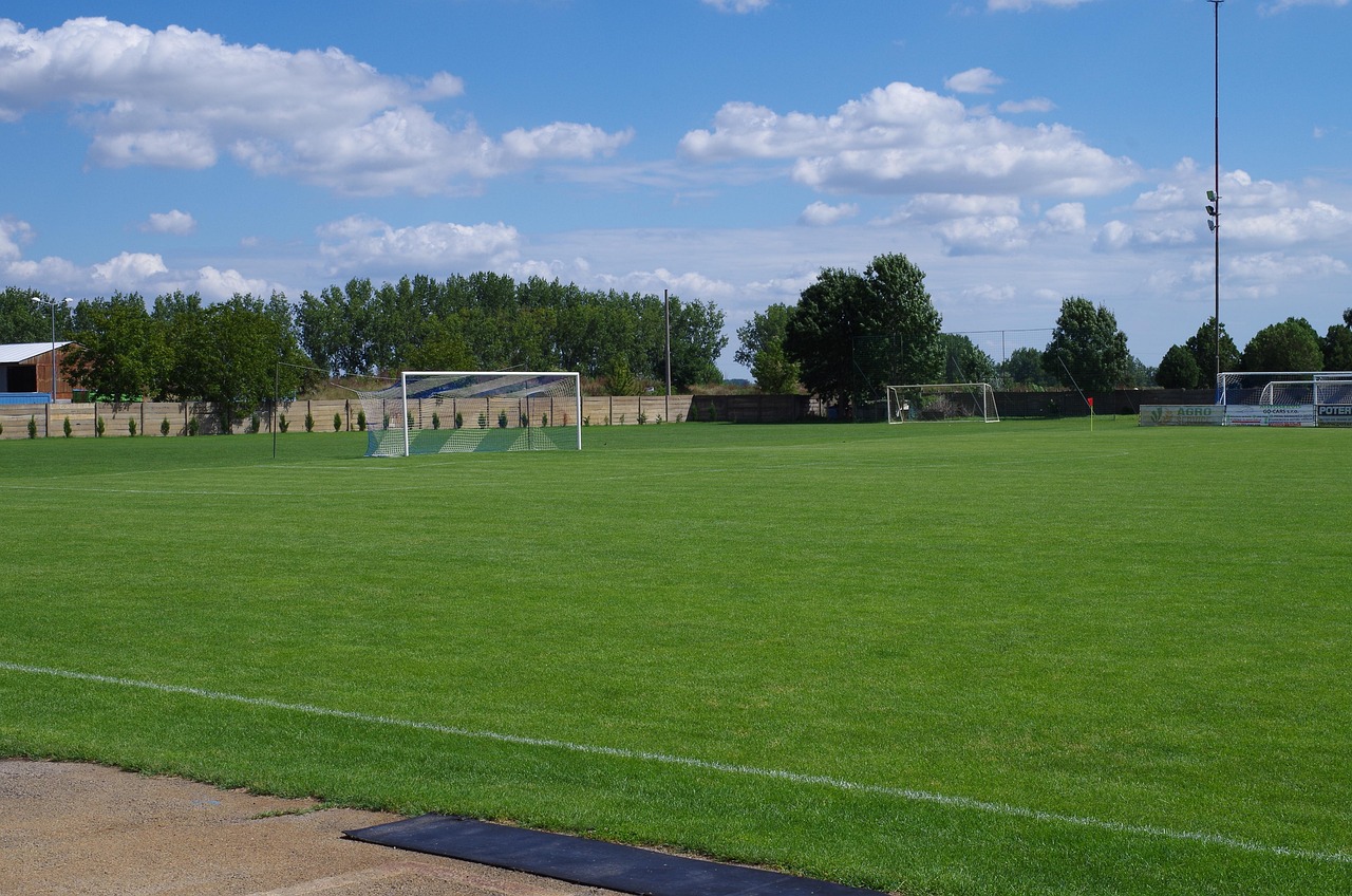 Football Playground Green - Free photo on Pixabay