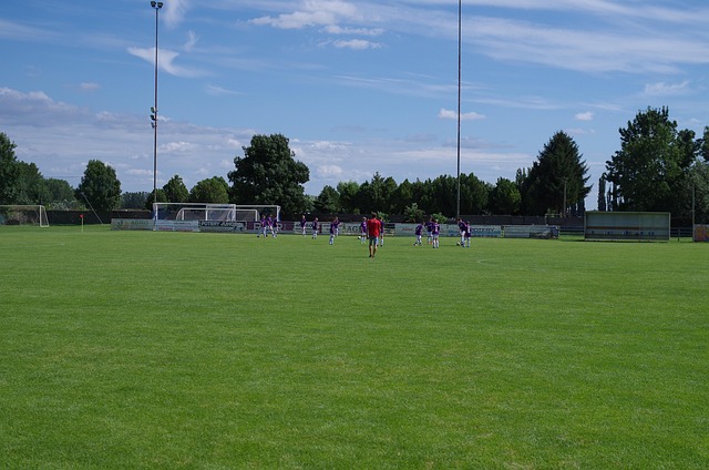 Football Playground Green - Free photo on Pixabay - Pixabay