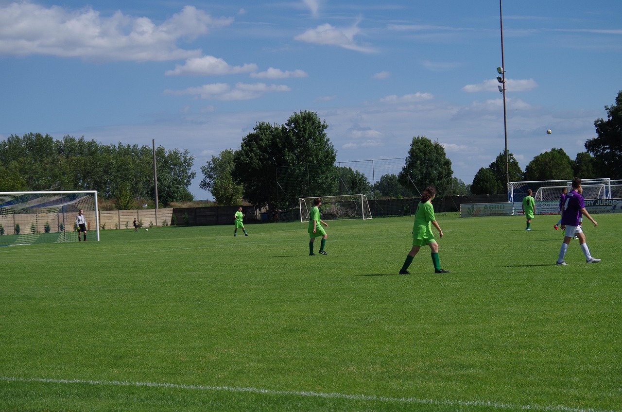 Football Playground Green - Free photo on Pixabay - Pixabay