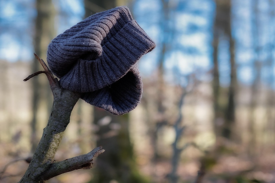 Cap Branch Hung Up - Free photo on Pixabay - Pixabay