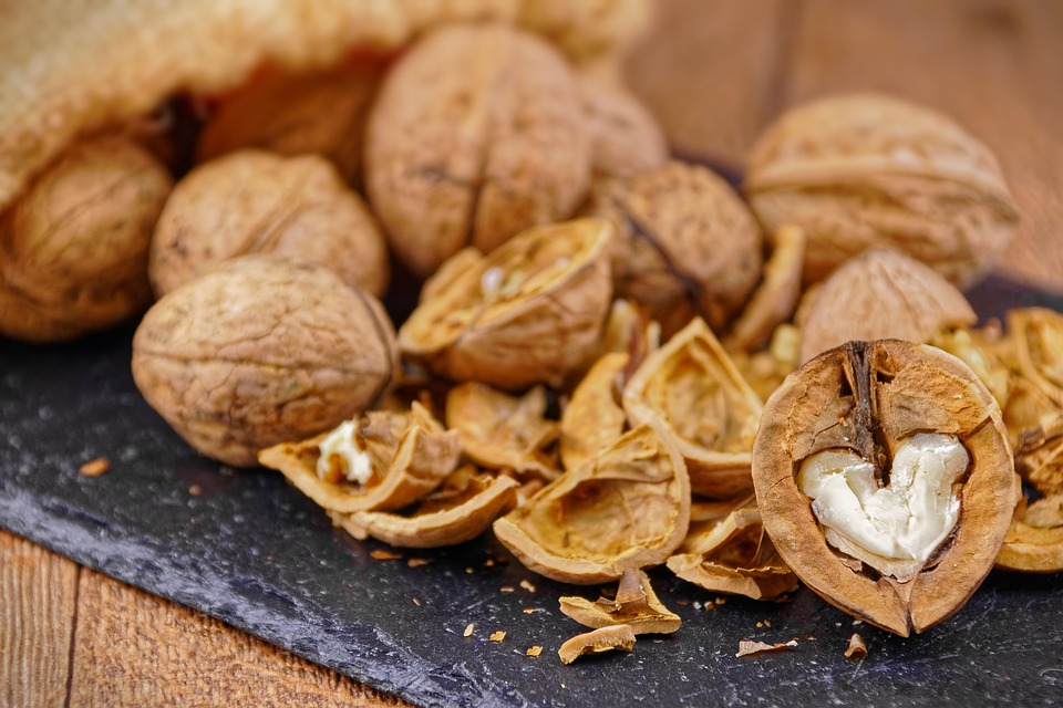 Walnuts Food Meal - Free photo on Pixabay