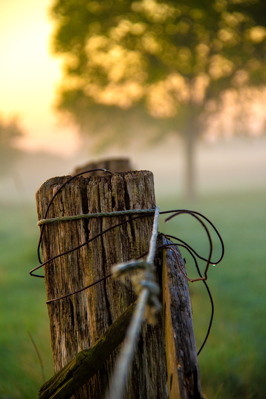 Wood Post Fence Old - Free photo on Pixabay - Pixabay
