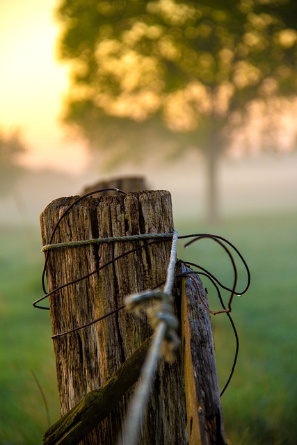 Wood Post Fence Old Free Photo On Pixabay Pixabay