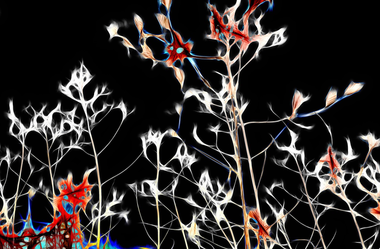 Grass Winter Fractalius - Free photo on Pixabay - Pixabay
