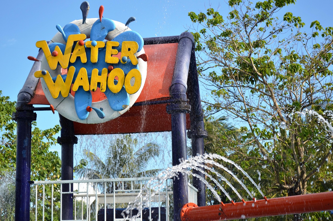 Splash Island Water Wahoo Summer - Free photo on Pixabay - Pixabay