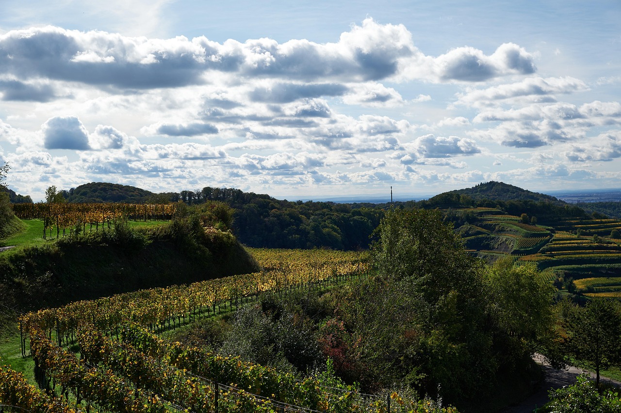 Vignobles Kaiserstuhl Paysage - Photo gratuite sur Pixabay - Pixabay