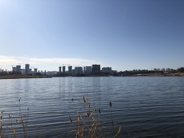 Sejong City - Free photo on Pixabay - Pixabay