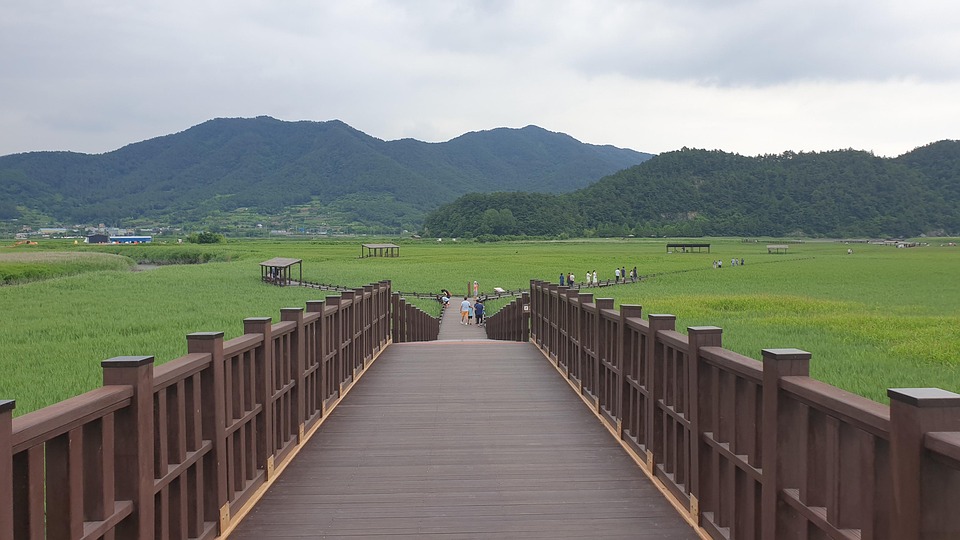 Suncheon Bay Wetland Summer Cloudy - Free photo on Pixabay