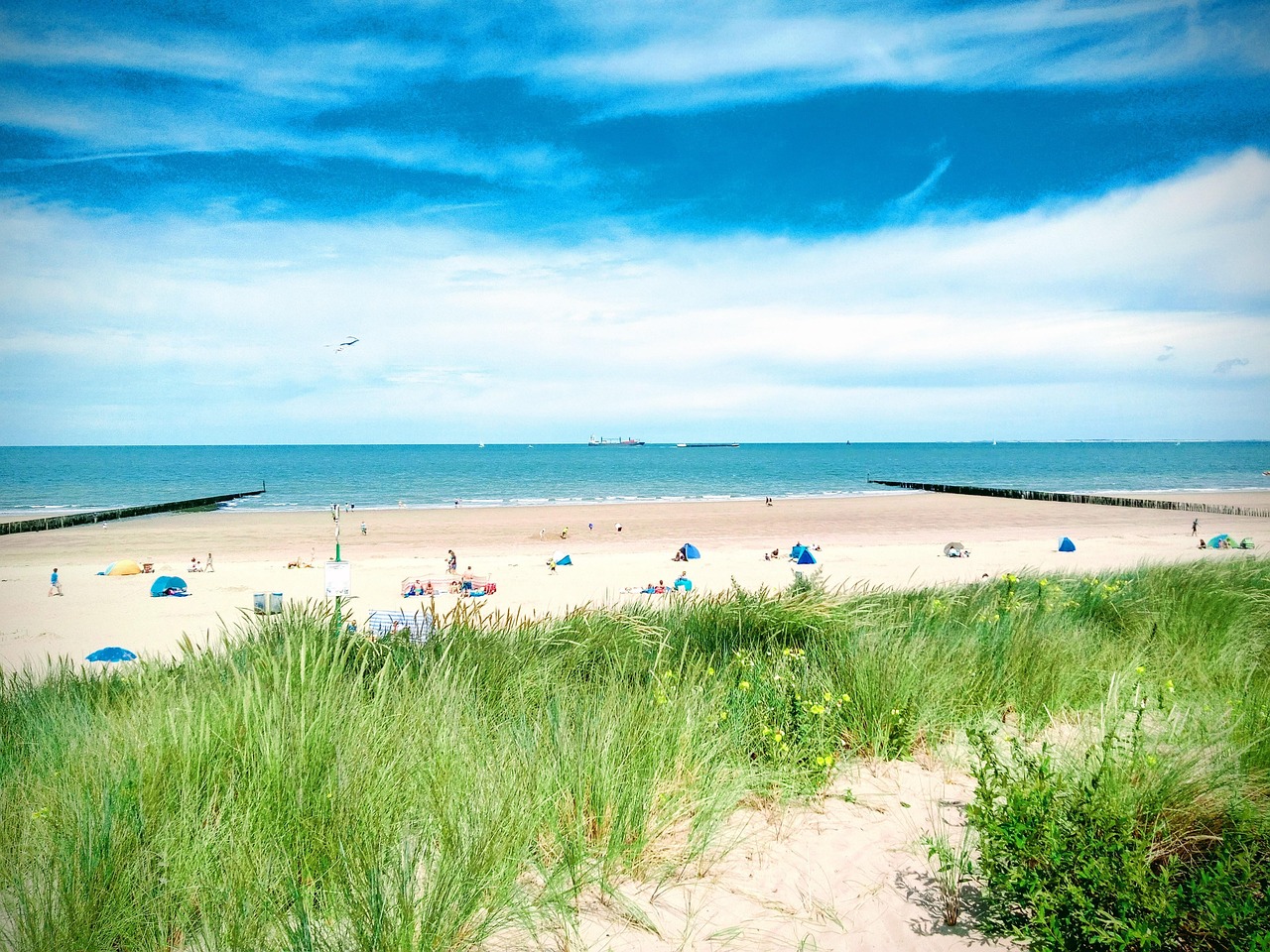 North Sea Beach Sand Dunes Blue - Free photo on Pixabay - Pixabay