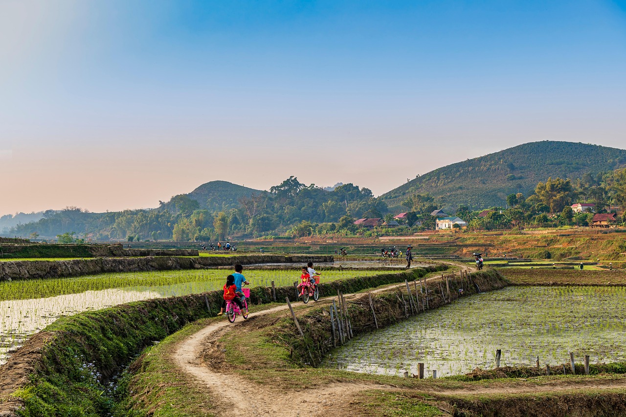 4,000+ Free Rice & Nature Images - Pixabay