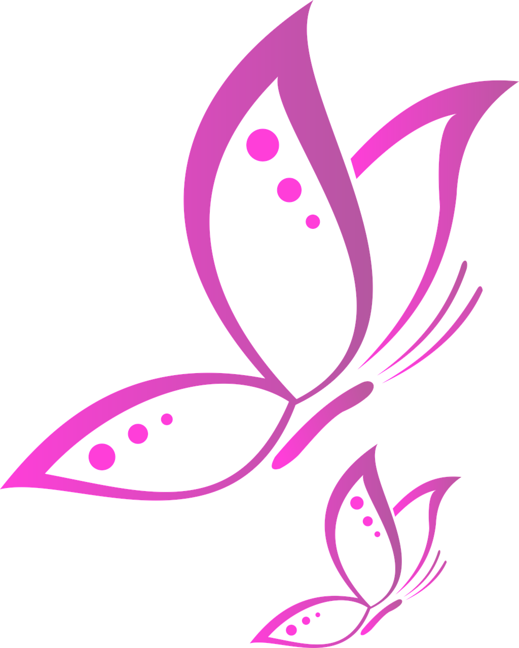 Download Butterflies Butterfly Insect Royalty Free Stock Illustration Image Pixabay