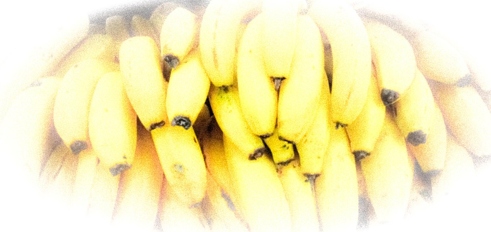 Fruits Banane - Photo gratuite sur Pixabay - Pixabay