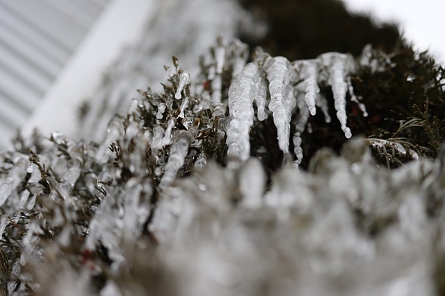 La Glace Hiver - Photo gratuite sur Pixabay - Pixabay