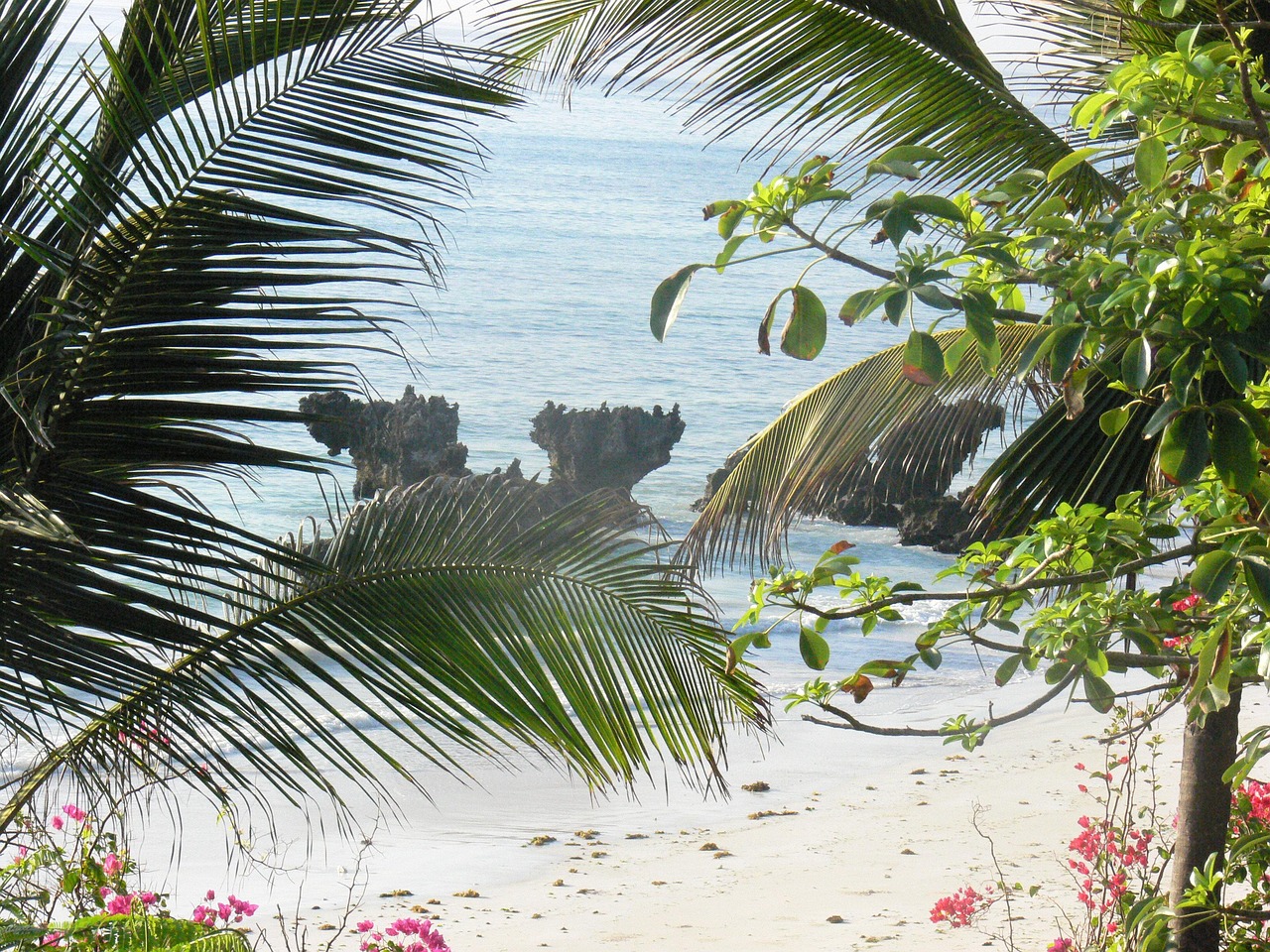 Zanzibar Beach Tanzania - Free photo on Pixabay - Pixabay