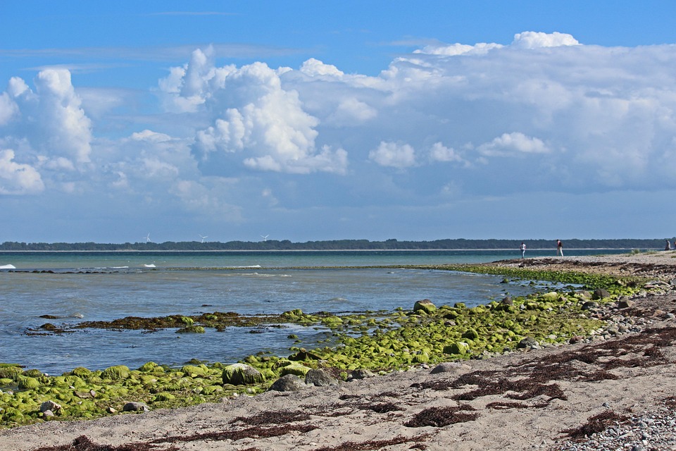 Beach Sea Bank - Free photo on Pixabay