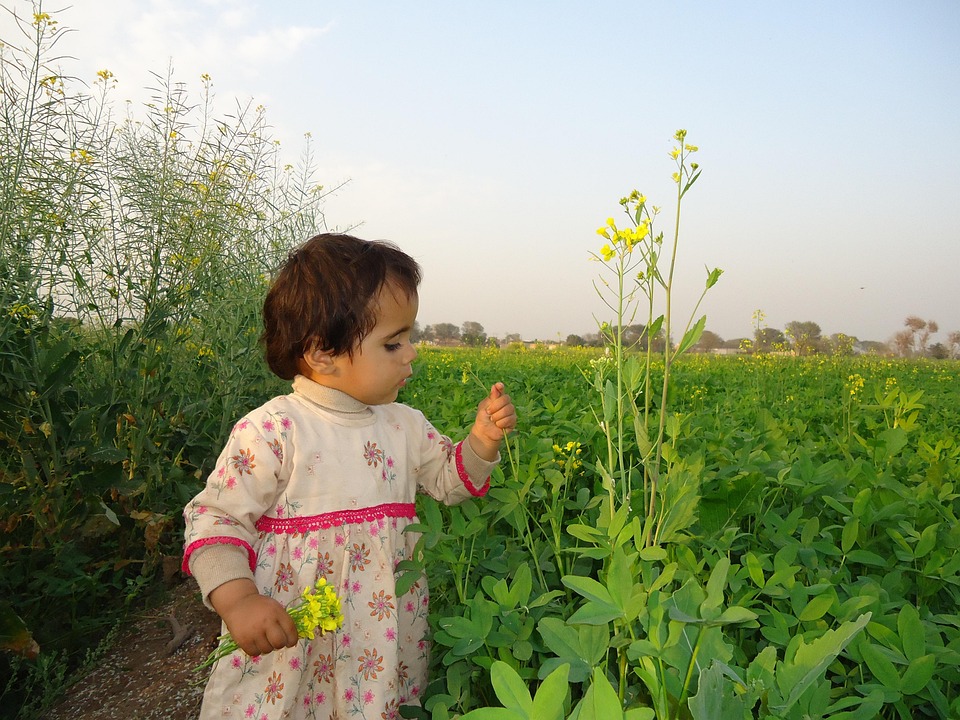 Baby Picking Flowers Abrish Fatima - Free photo on Pixabay - Pixabay