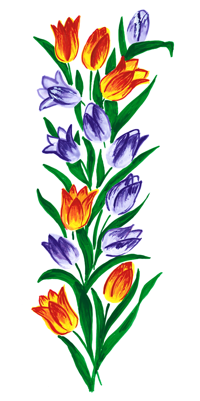 Download Tulip, Tulips, Spring. Royalty-Free Vector Graphic - Pixabay
