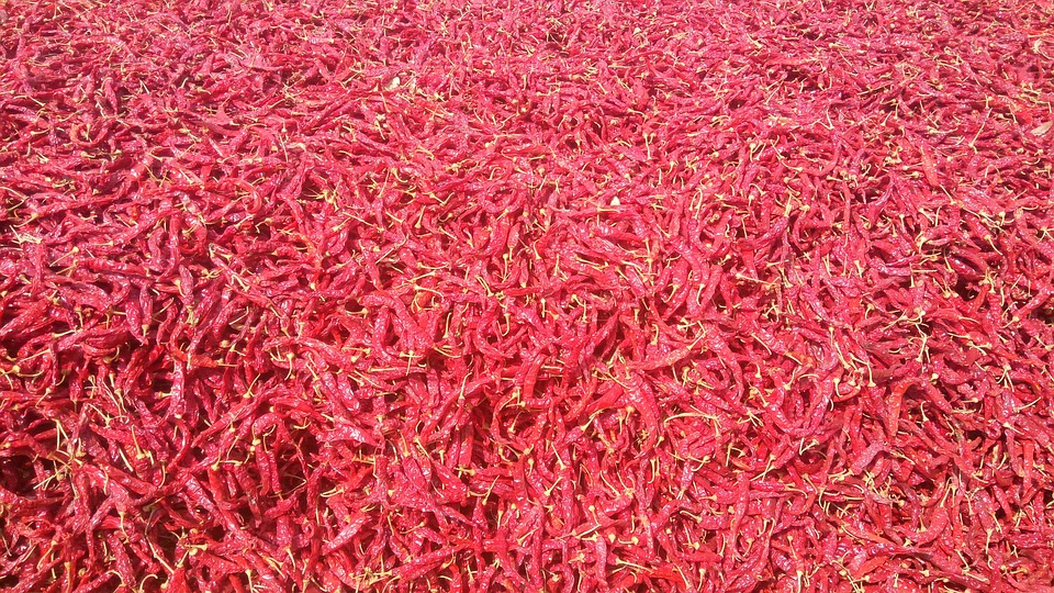 Guntur Mirchi Chile Rojo - Foto gratis en Pixabay - Pixabay