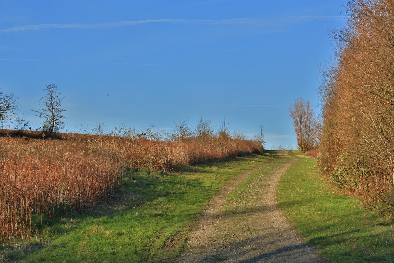 Country Way To The Summit Mountain - Free photo on Pixabay - Pixabay