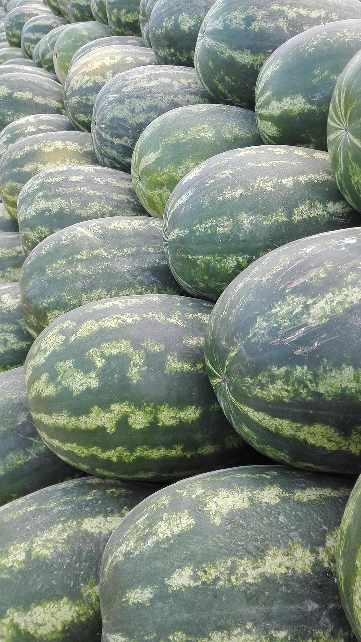 Watermelons Green Fruits - Free photo on Pixabay