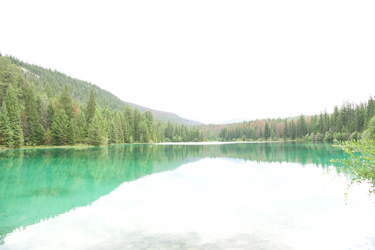 Rocheuses Canadiennes Beau Paysage - Photo gratuite sur Pixabay - Pixabay