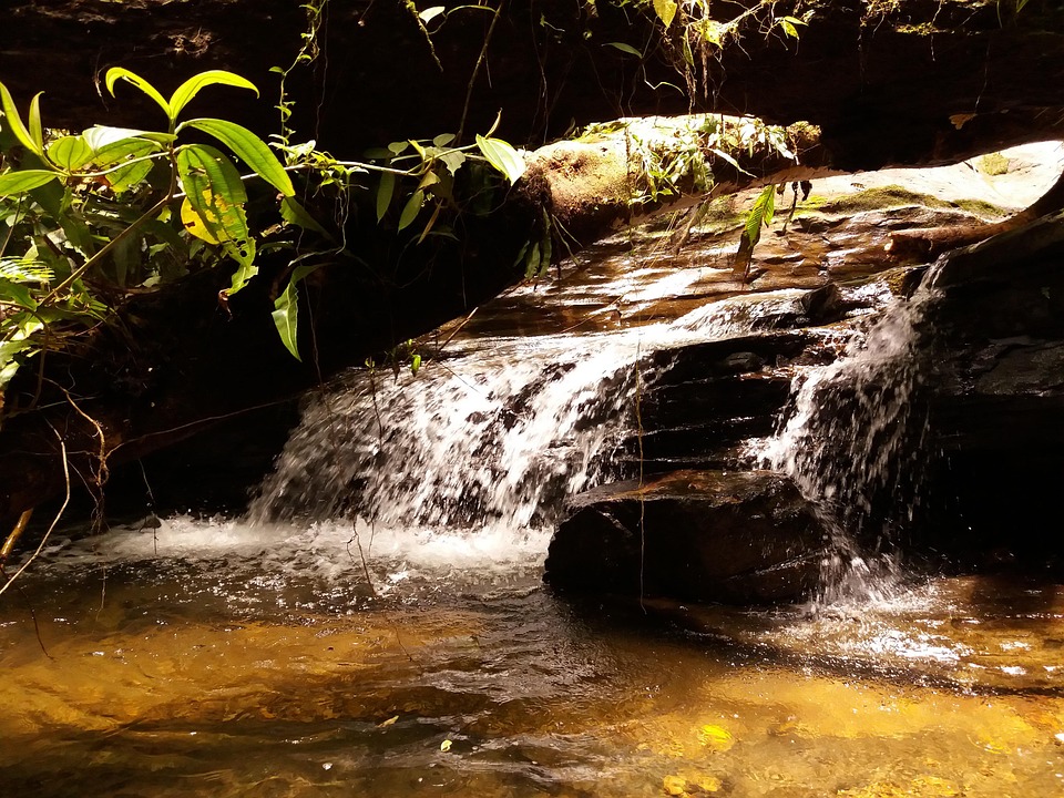 Cascade Cascada Arrollo - Foto gratis en Pixabay - Pixabay