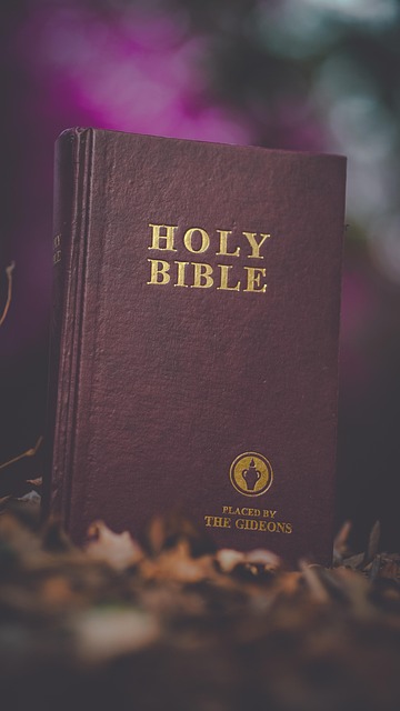 Photos De La Bible Fond - Photo gratuite sur Pixabay - Pixabay