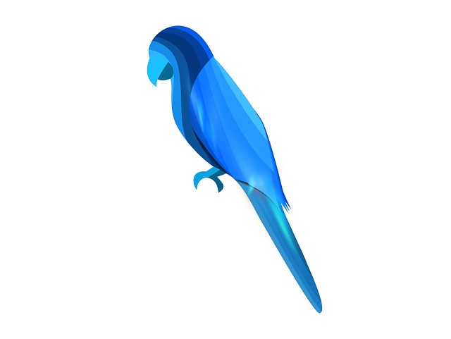Perroquet Oiseau Résumé - Image gratuite sur Pixabay - Pixabay