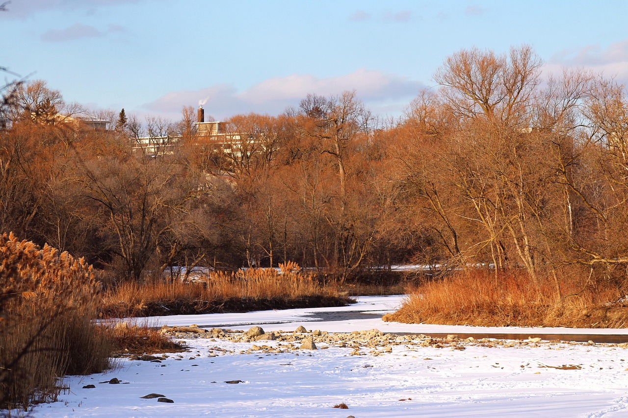 Winter Landschaft Schnee - Kostenloses Foto auf Pixabay