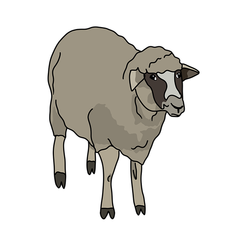 50+ Free Sheep Drawing & Sheep Images - Pixabay