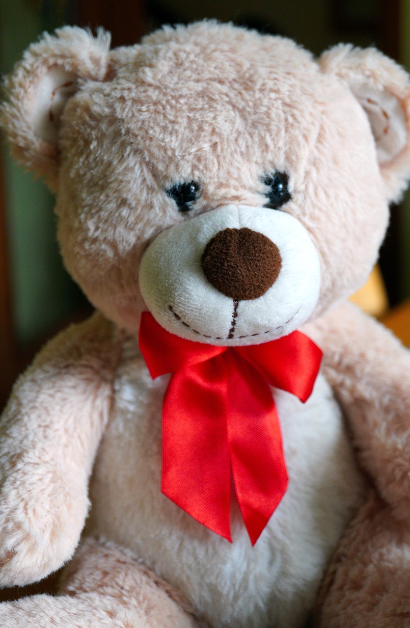 Teddy Bear Toy Stuffed - Free photo on Pixabay