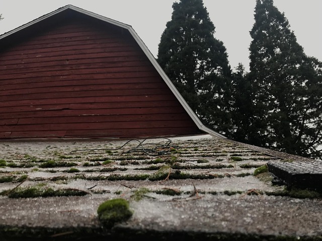 Barn Roof Moss - Free photo on Pixabay - Pixabay