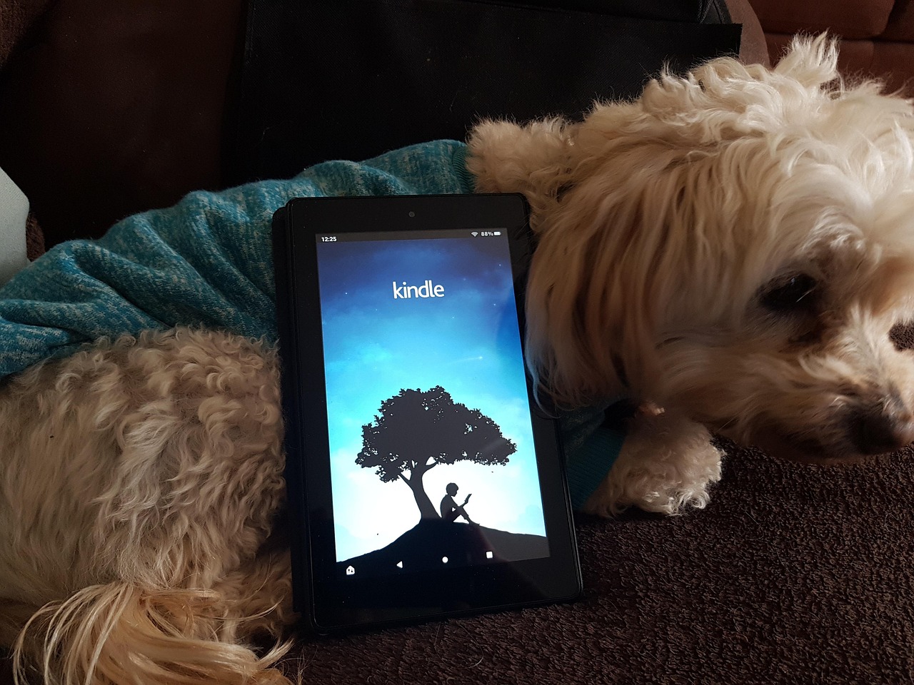 Dog Kindle E-Book - Free photo on Pixabay - Pixabay