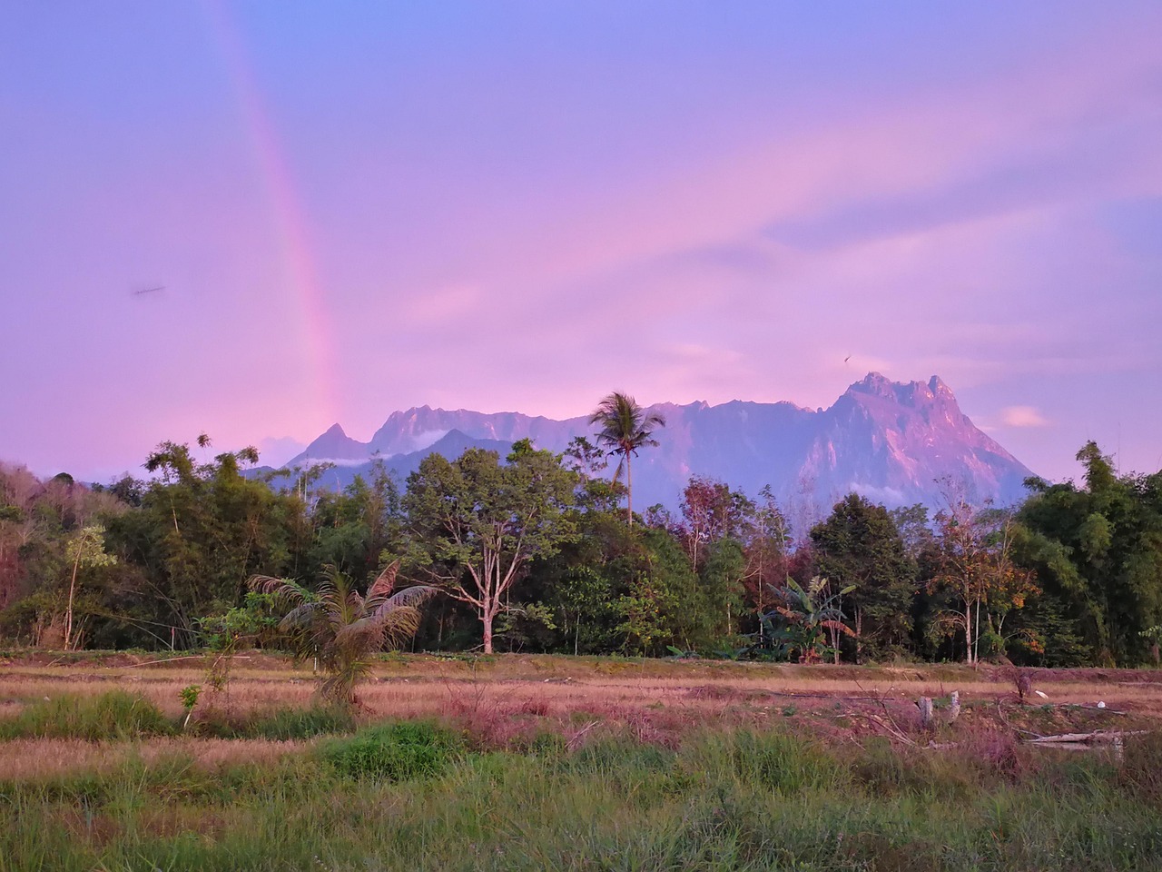 Mount Kinabalu Gunung - Free photo on Pixabay