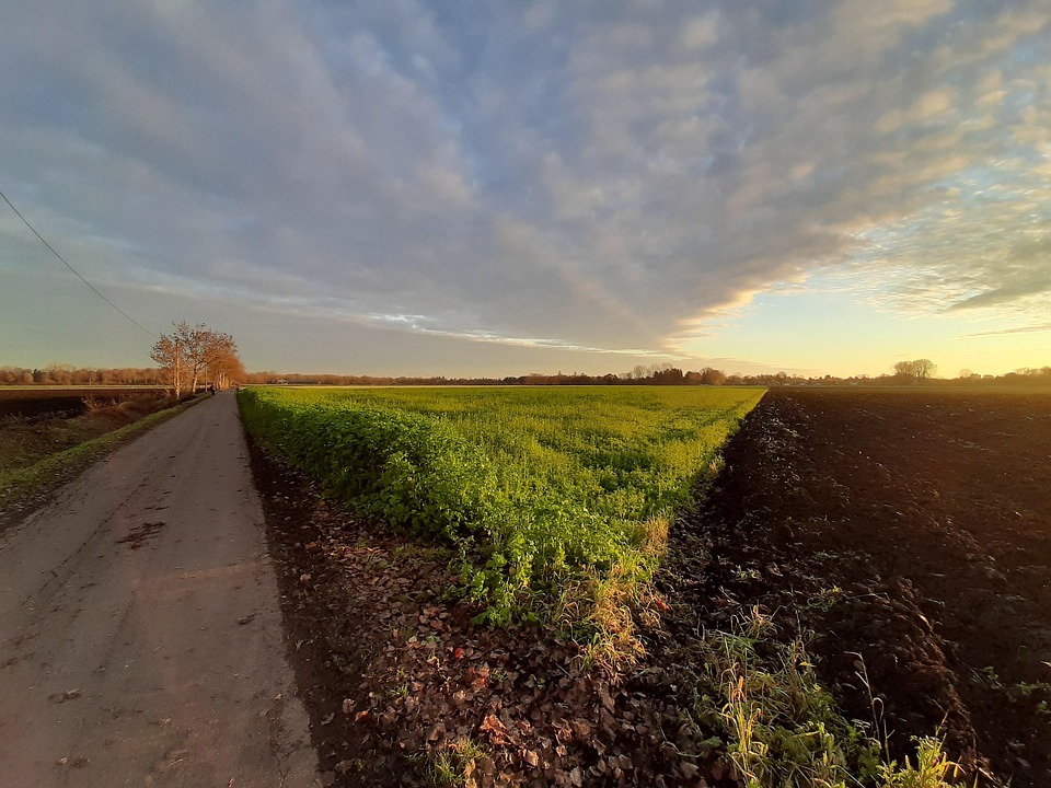Sunset Dirt Road Field - Free photo on Pixabay