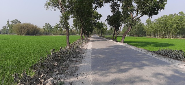 Road Pavement Field - Free photo on Pixabay - Pixabay