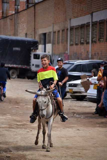 Child Donkey Happy - Free photo on Pixabay - Pixabay