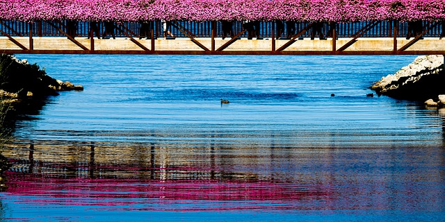 Colours Water Bridge - Free photo on Pixabay - Pixabay