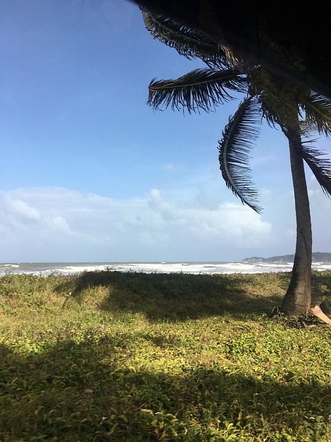 Trinidad Tobago Mayaro Beach - Free photo on Pixabay - Pixabay