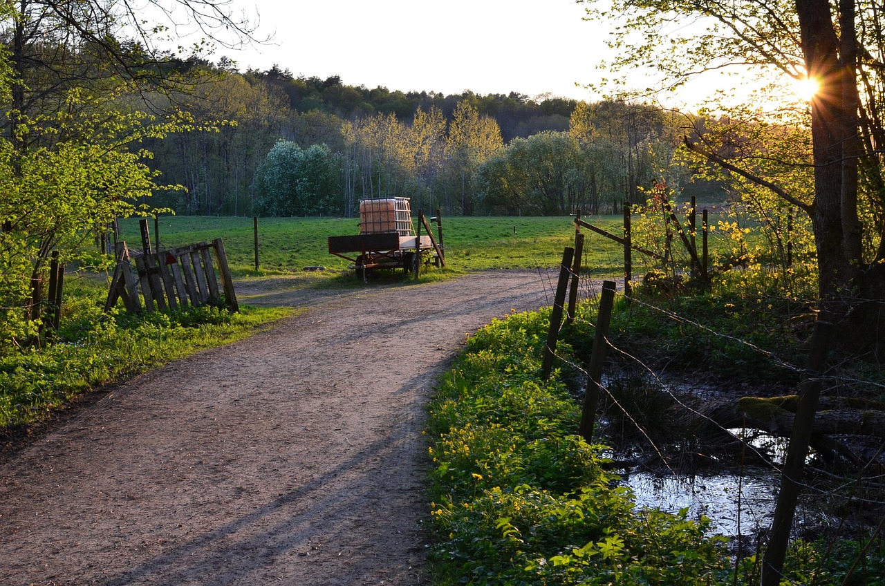 Nature L'Été Paysage Le Coucher Du - Photo gratuite sur Pixabay - Pixabay