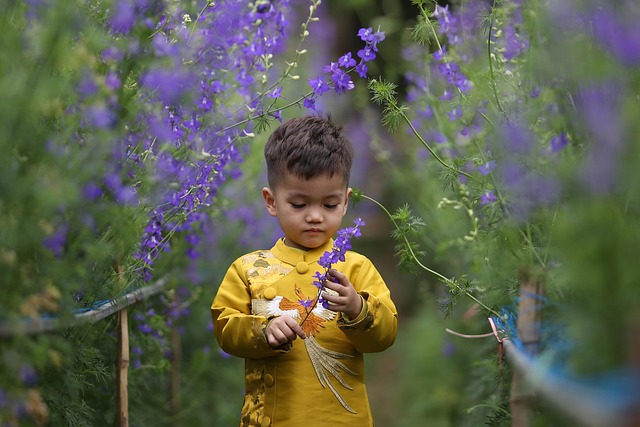 40,000+ Free Boy Wallpaper & Boy Images - Pixabay