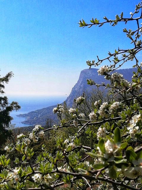 Sea Mountains Crimea - Free photo on Pixabay - Pixabay