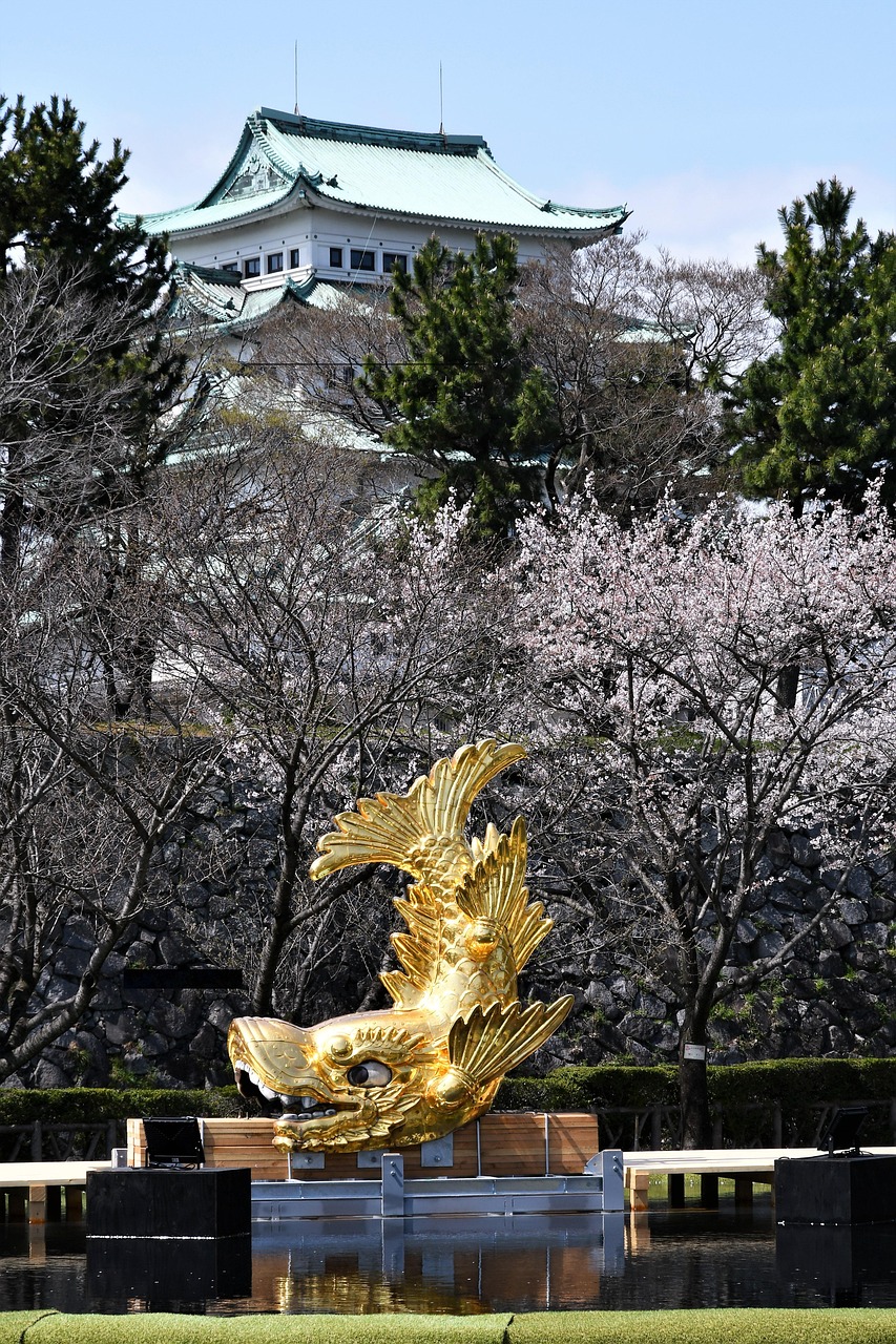 Nagoya Castle Kindai Kinshachi - Free photo on Pixabay