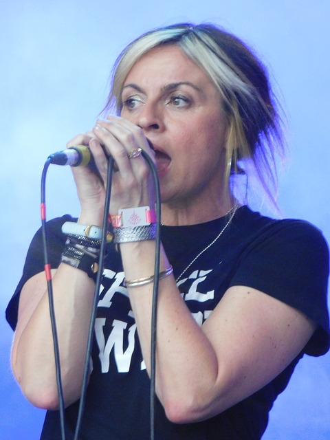 Louise Wener Dorminhoco Cantor - Foto gratuita no Pixabay - Pixabay