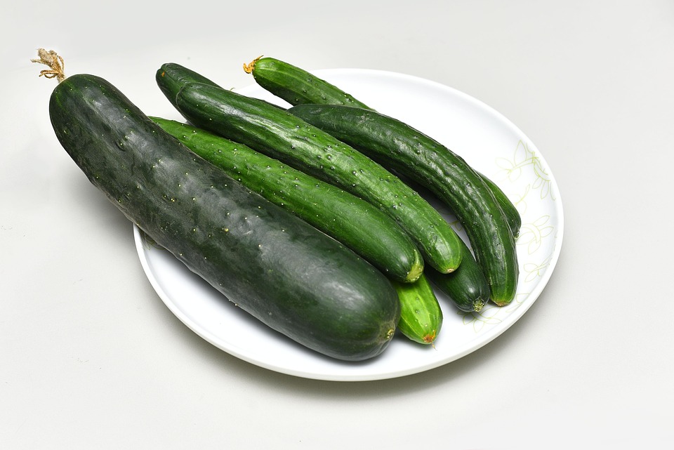 Food Cucumber Vegetable - Free photo on Pixabay
