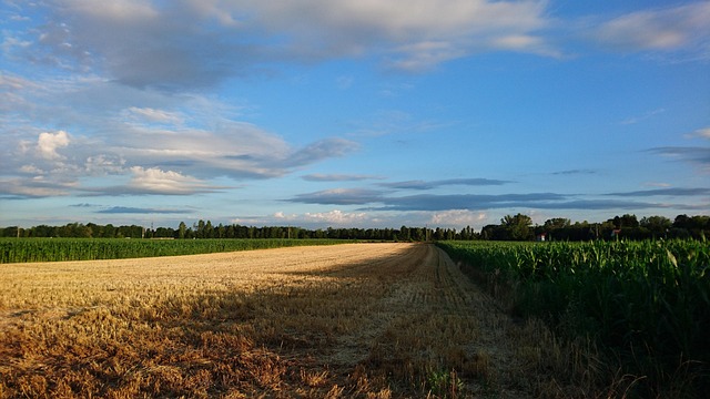 Maisema Maaseutu Maaseudun - Ilmainen valokuva Pixabayssa - Pixabay